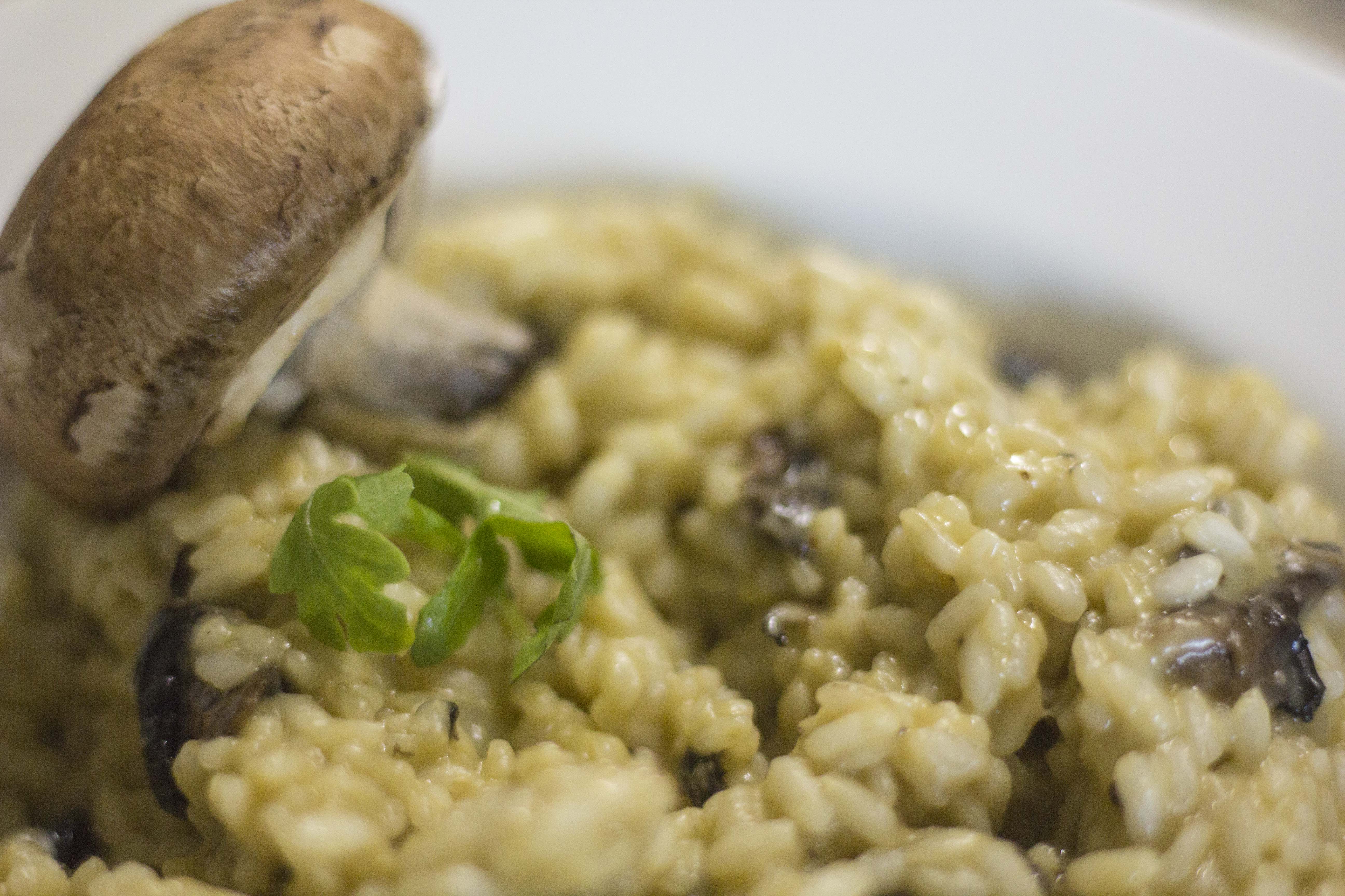 Mushroom Risotto – Sheikah Plate