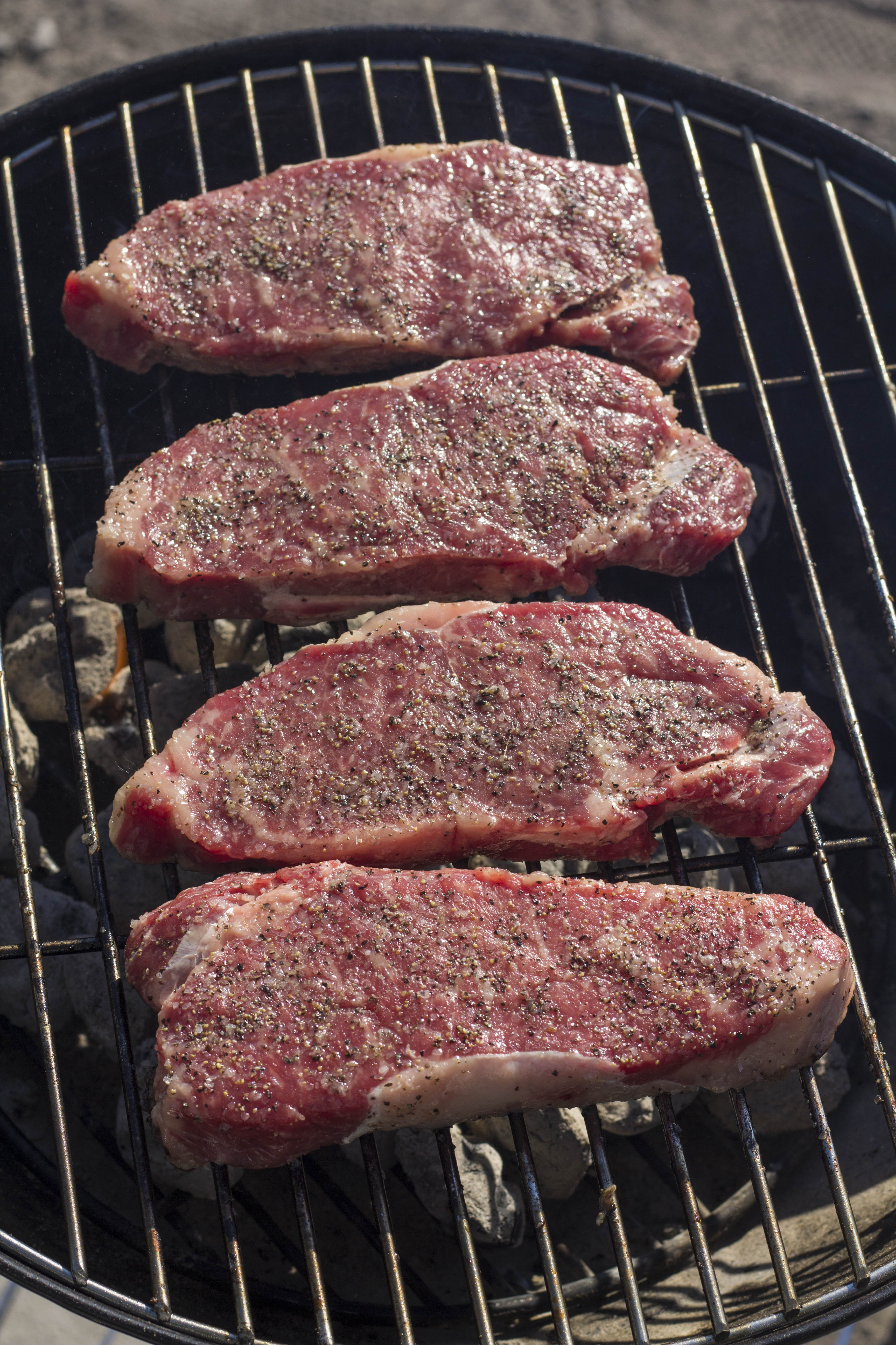 Salt Grilled Prime Meat – Sheikah Plate