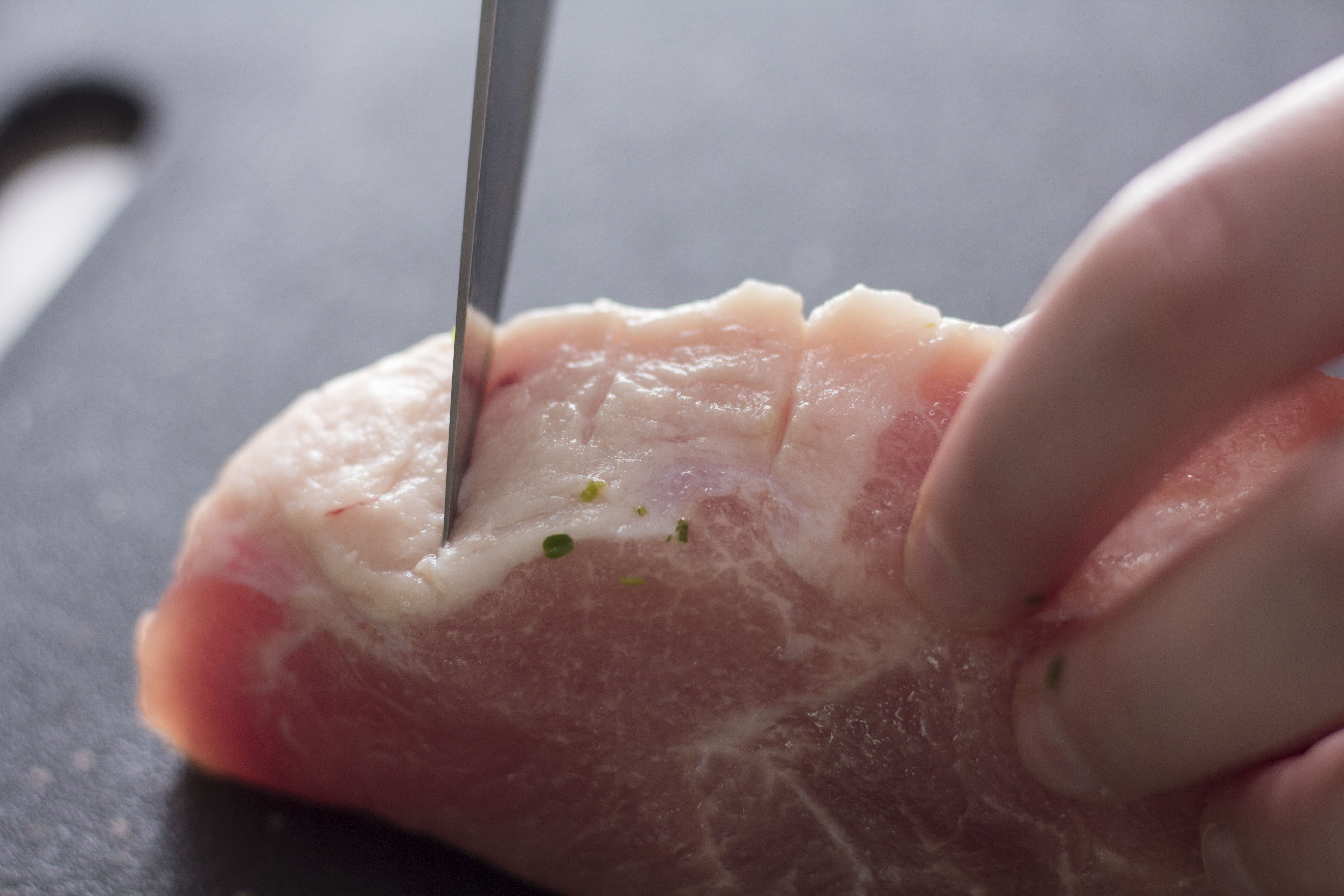 Salt-Grilled Meat – Sheikah Plate